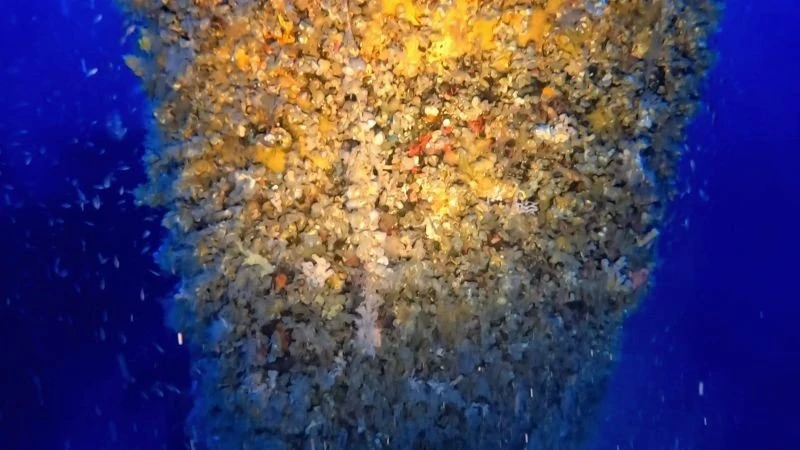 Σπάνιο ναυάγιο εντοπίστηκε στο Κάβο Ντόρο - Η τραγική ιστορία του ...