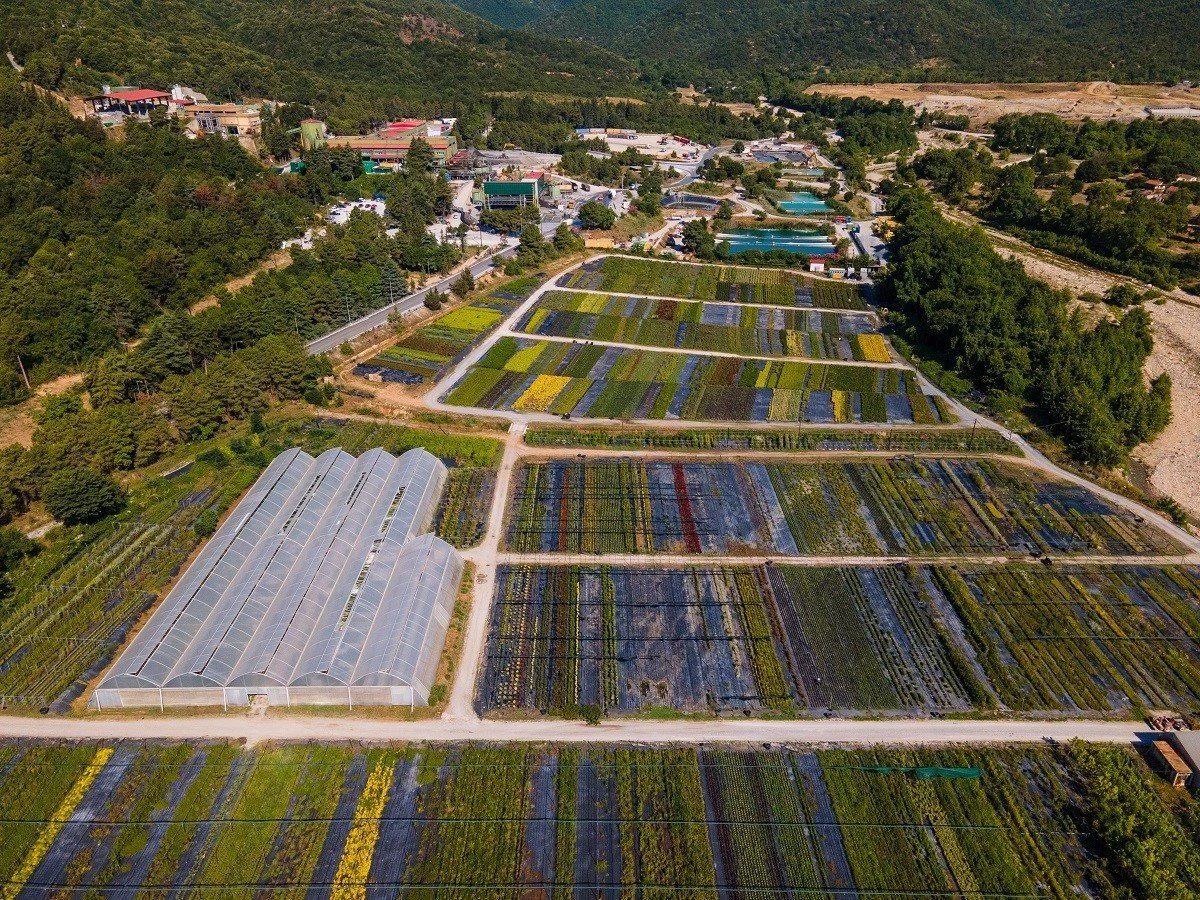 Ελληνικός Χρυσός: Ένα επενδυτικό success story διεθνών προδιαγραφών ...