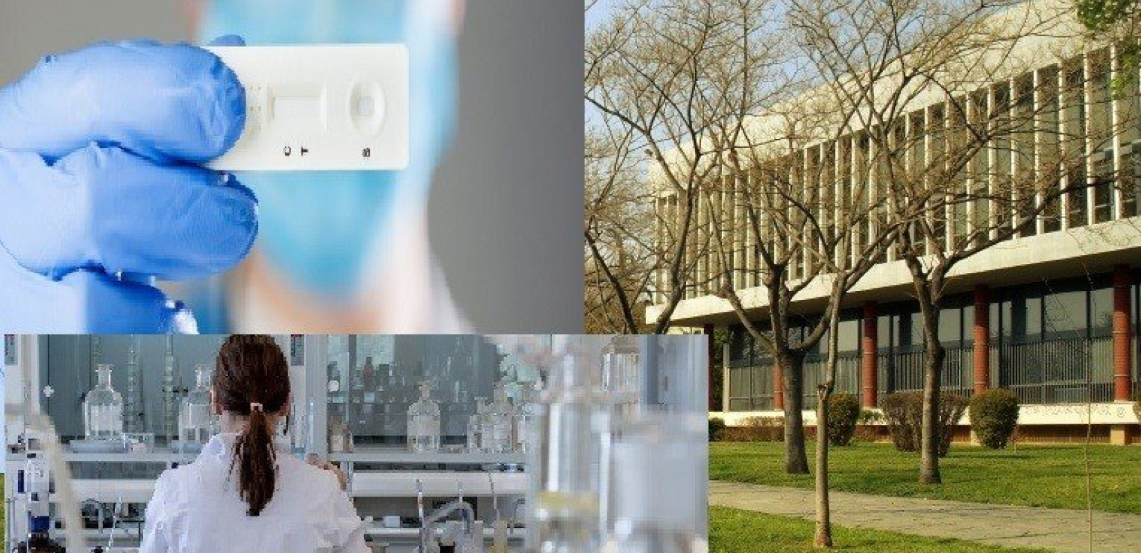 Με self- tests η επιστροφή των φοιτητών στα εργαστηριακά μαθήματα